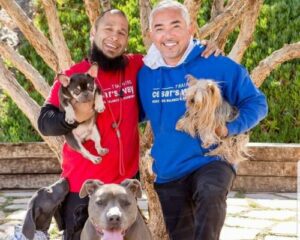 Off Leash K9 Training of Bakersfield | Dog Obedience Training